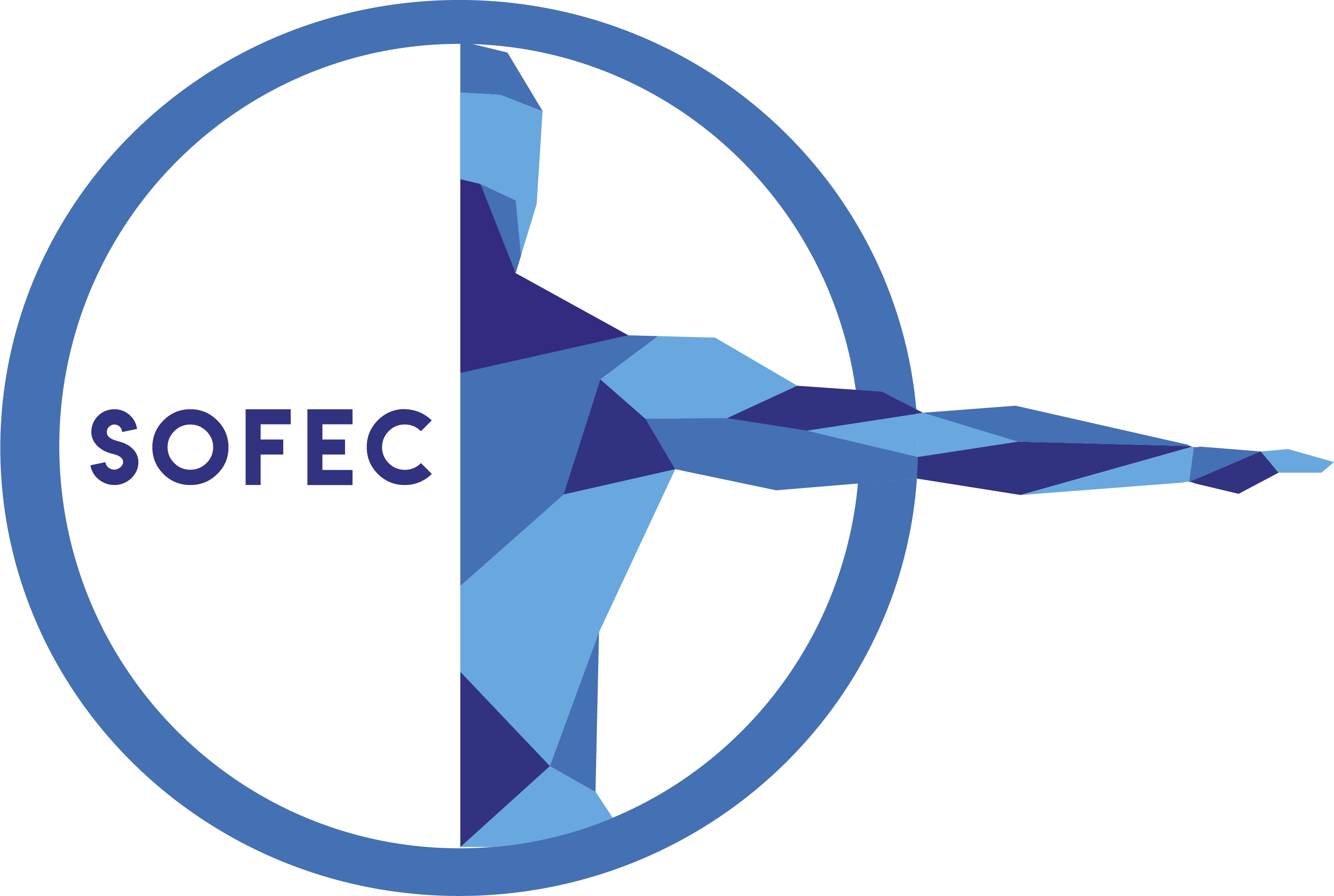 logoSOFEC.png | SOFCOT